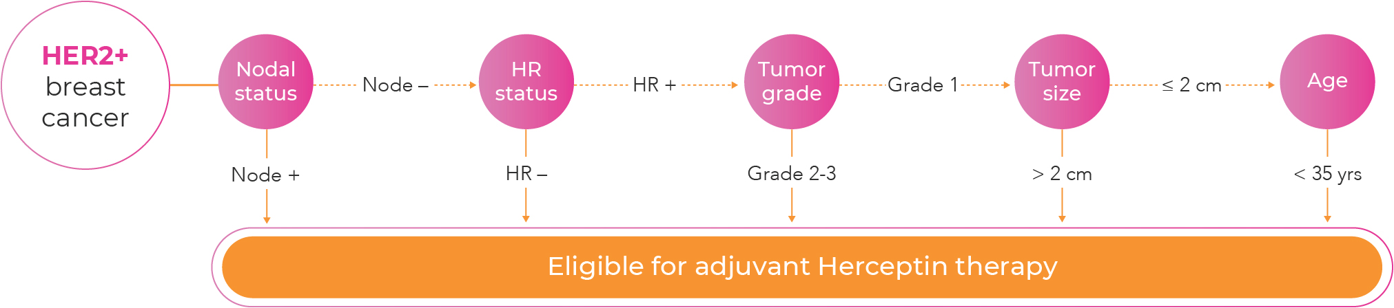 Herceptin® (trastuzumab) Dosing in HER2+ Adjuvant Breast Cancer