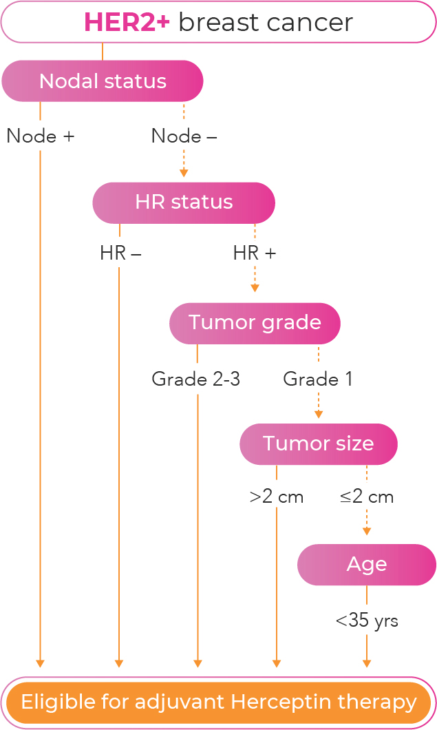 Herceptin® (trastuzumab) Dosing in HER2+ Adjuvant Breast Cancer