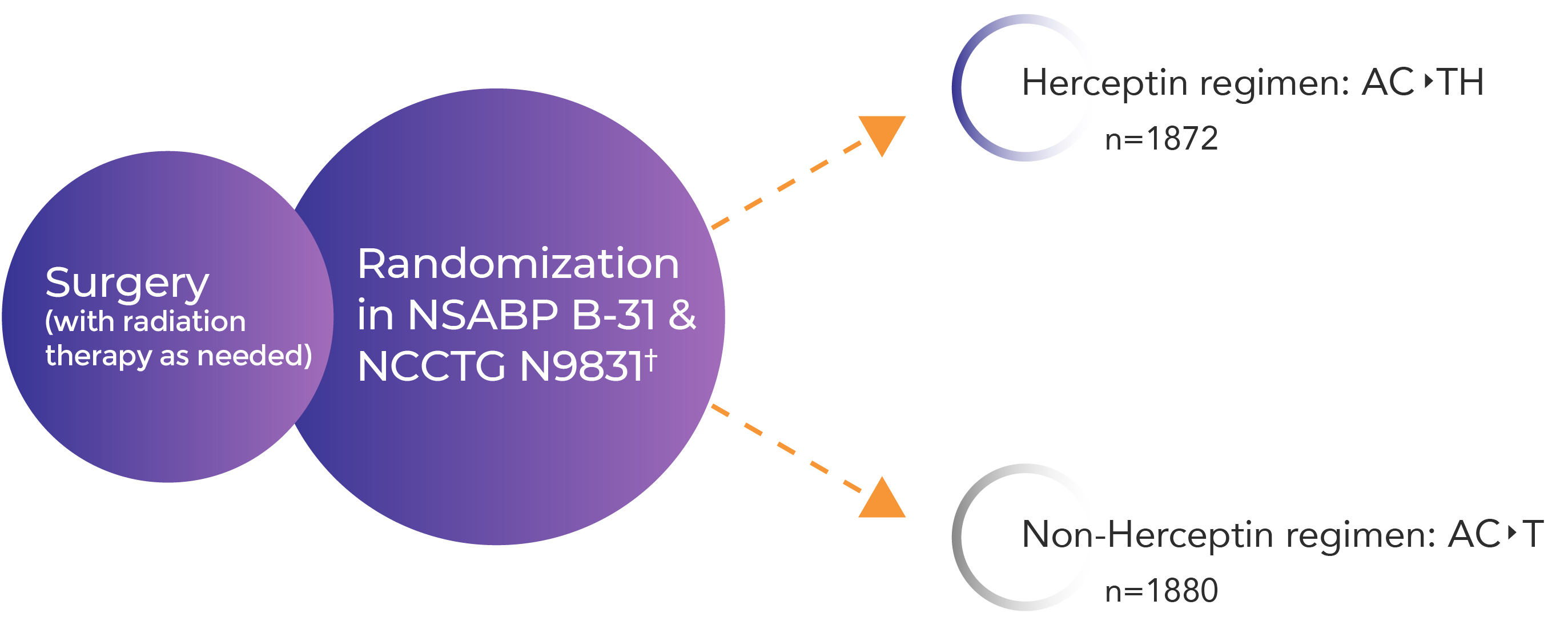 Clinical Study Information for Herceptin® (trastuzumab) in HER2 ...