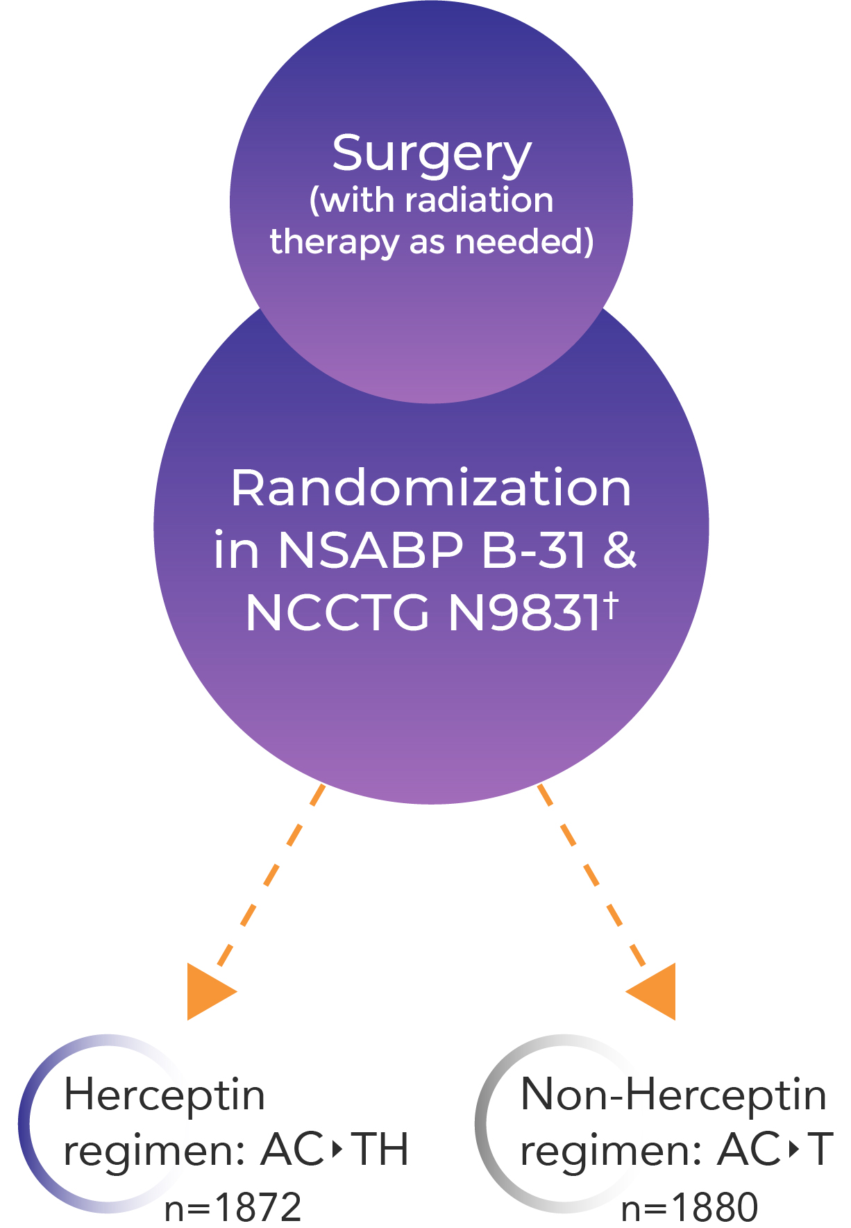 Clinical Study Information for Herceptin® (trastuzumab) in HER2 ...