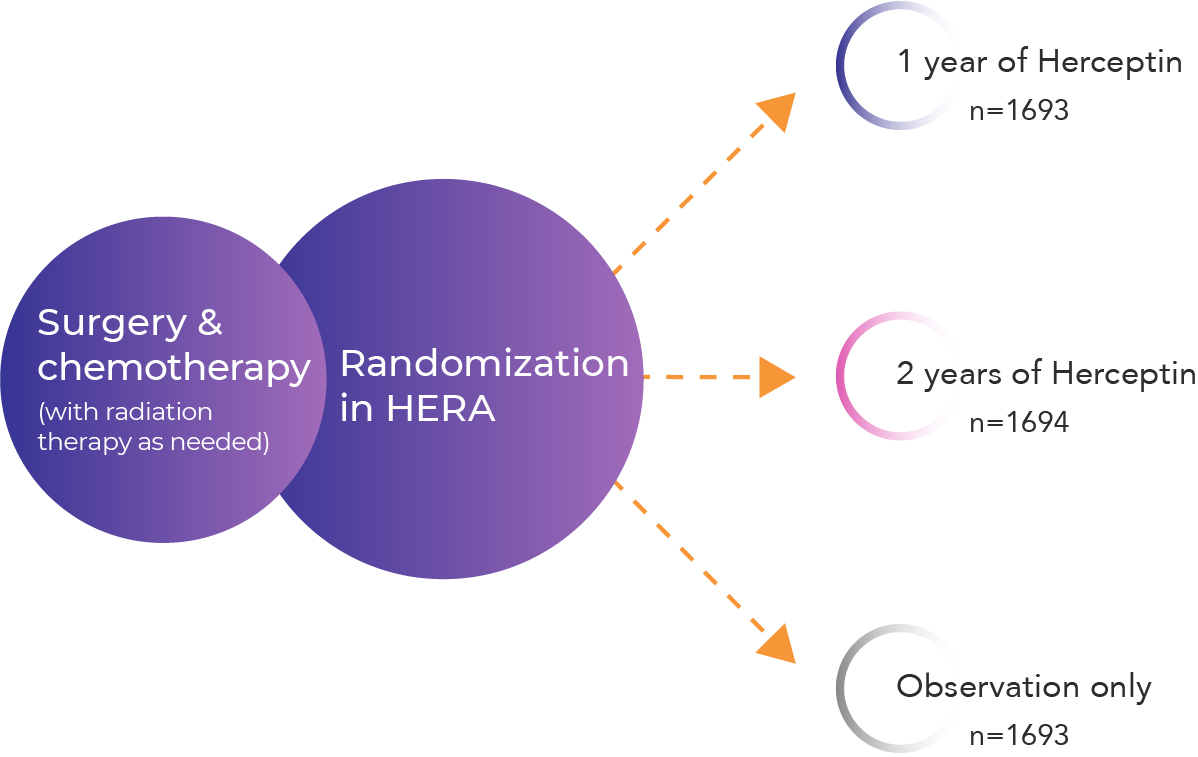 Clinical Study Information for Herceptin® (trastuzumab) in HER2 ...