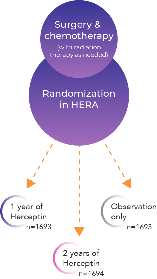Clinical Study Information for Herceptin® (trastuzumab) in HER2 ...