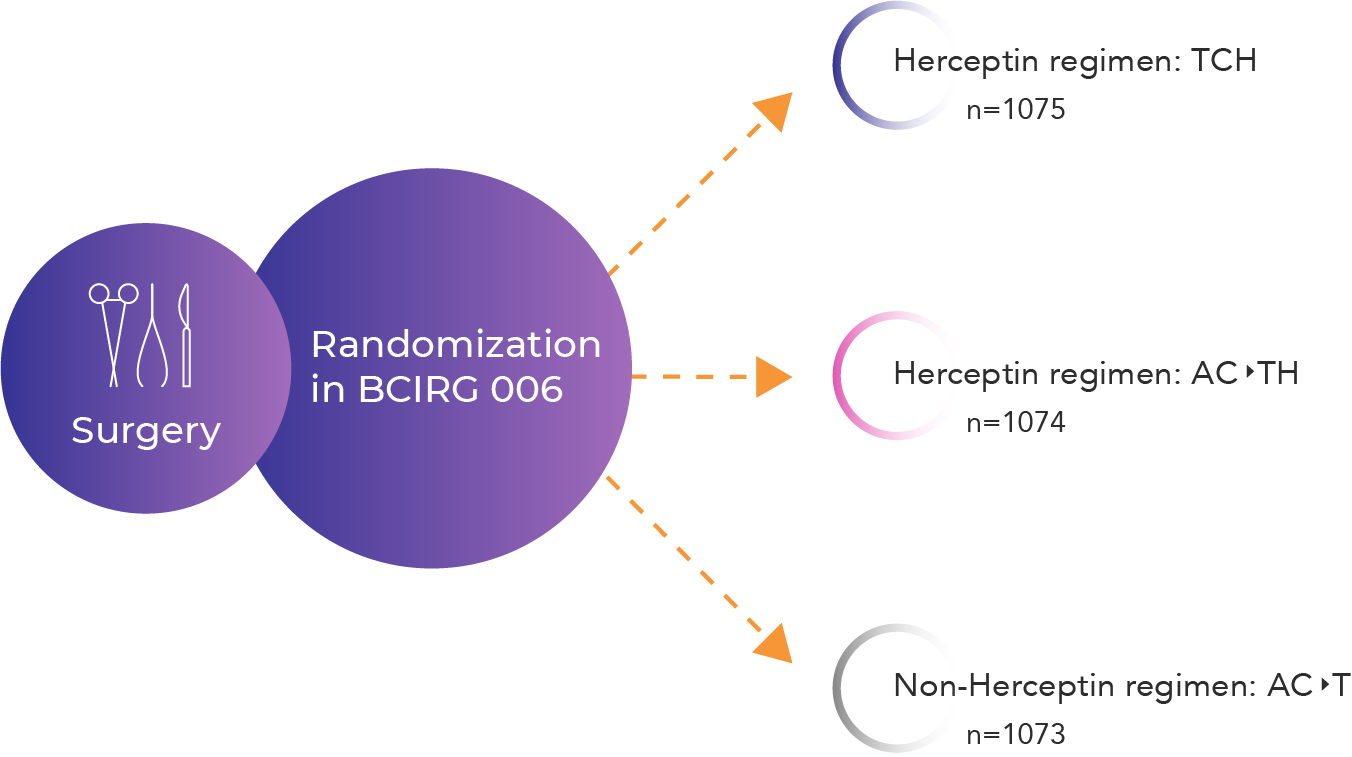 Clinical Study Information for Herceptin® (trastuzumab) in HER2+ Adjuvant Breast Cancer