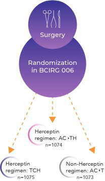 Clinical Study Information for Herceptin® (trastuzumab) in HER2 ...