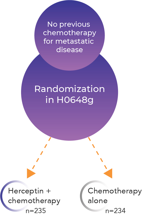 Clinical Study Information for Herceptin® (trastuzumab) in HER2 ...