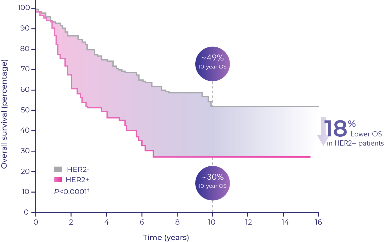 What Herceptin® (trastuzumab) Treats | HER2+ Metastatic Breast Cancer
