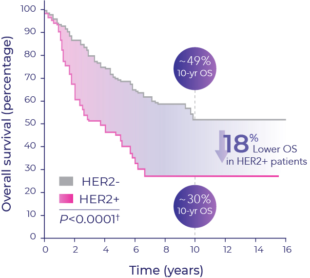 What Herceptin® (trastuzumab) Treats | HER2+ Metastatic Breast Cancer