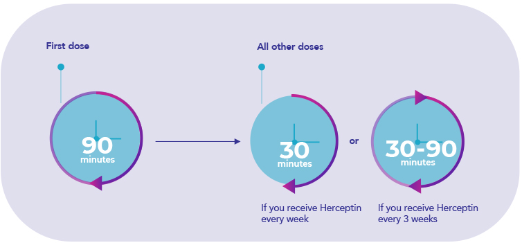 Herceptin® (trastuzumab) Treatment Schedule for HER2+ Early Breast Cancer | Herceptin® (trastuzumab)